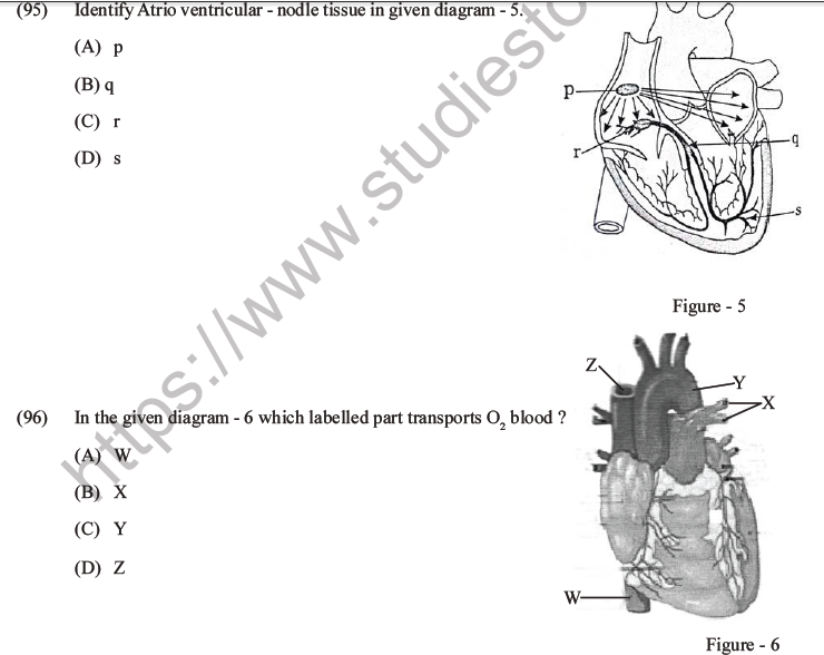 NEET Biology Body Fluids and Circulation MCQs Set B with Answers